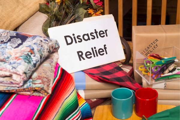 Exploring the Role of Local NGOs in Strengthening Humanitarian Response ...