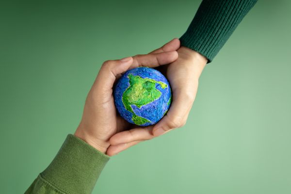 How to Create a Sustainability Project Proposal? - fundsforNGOs ...