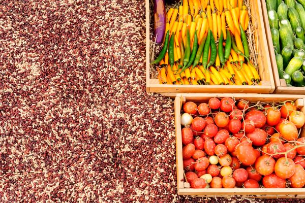 Fostering Strategic Partnerships and Collaborations for a Food Security ...