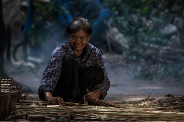 The Role of NGOs in Combating Poverty: Case Studies and Best Practices ...